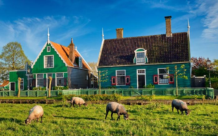 Inlet Culinary Garden | Landscaping and Design